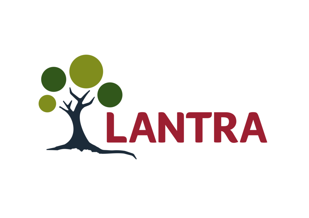 Welsh Veg in Schools - foodsensewales.org.uk